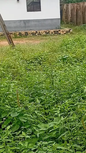 Property in Nigeria for rent & sale Price in June 2026 on Jiji.ng