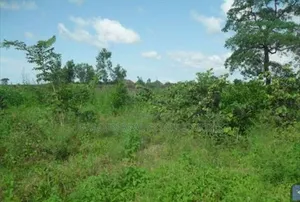 2 and Half Plots of Land for sale - Golden Real Estate Limited Price: ₦ ...