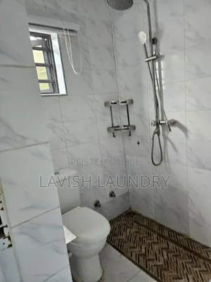 Professional Apartment Cleaning and Fumigation Lagos for sale - Lavish ...