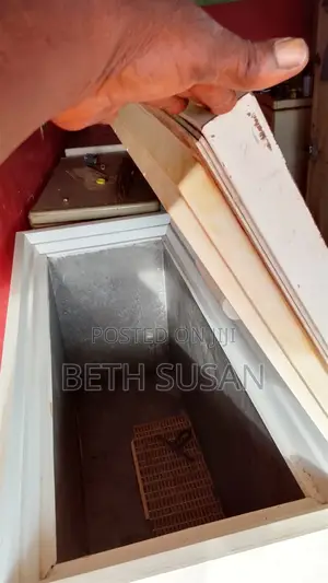 Big Frozen Freezer for sale - Price: ₦ 320,000 on Jiji.ng [Ado-Odo/Ota]