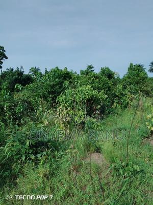 4 Plots Fertile Land for Sale. for sale - Price: ₦ 800,000 on Jiji.ng ...