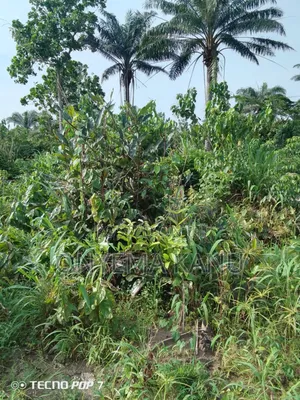 4 Plots Fertile Land for Sale. for sale - Price: ₦ 800,000 on Jiji.ng ...