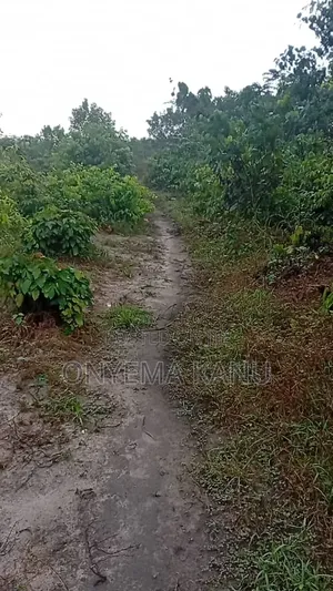 4 Plots Fertile Land for Sale. for sale - Price: ₦ 800,000 on Jiji.ng ...