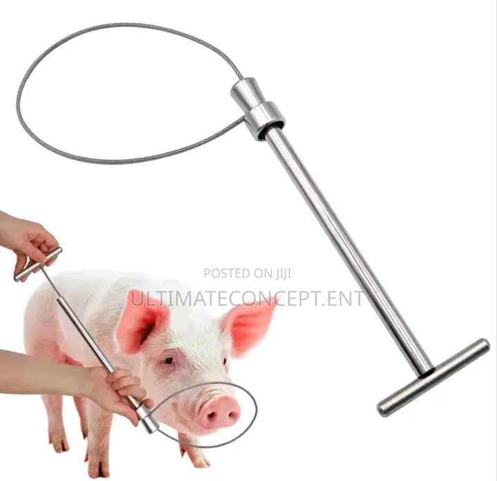 Stainless Animal Catcher for sale - ultimateconcept.ent Price: ₦ 25,000 ...