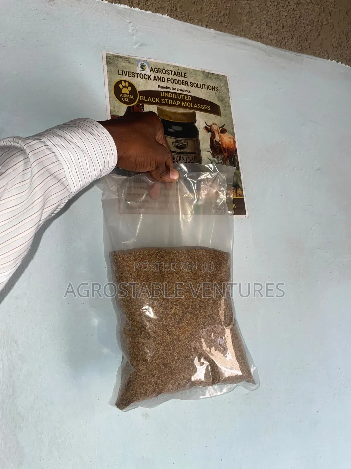 Alfalfa Seed 1 Kilogram for sale - Agrostable Ventures Price: ₦ 95,000 ...