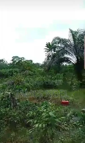 Land & Plots For Sale in Nigeria Prices in June 2026 on Jiji.ng