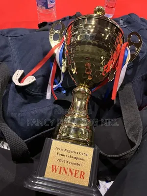 Custom Trophies Awards | Premium Recognition Medals for sale - Fancy ...