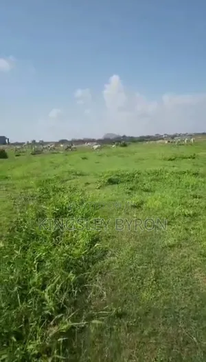 Direct Massive 100 Hectares for Outright Sales - Kingsley Byron Price ...