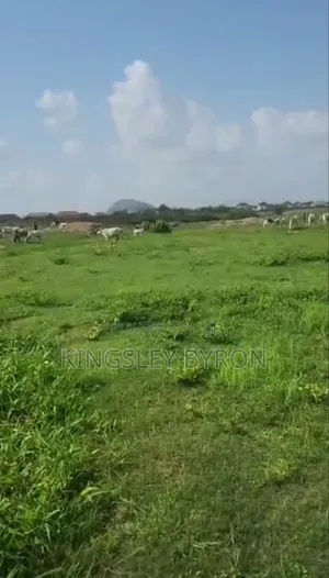 Direct Massive 100 Hectares for Outright Sales - Kingsley Byron Price ...