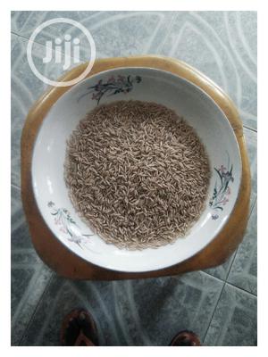 Brown 4.54kg Healthy Rice in Abule Egba - Meals & Drinks, Jonzing ...