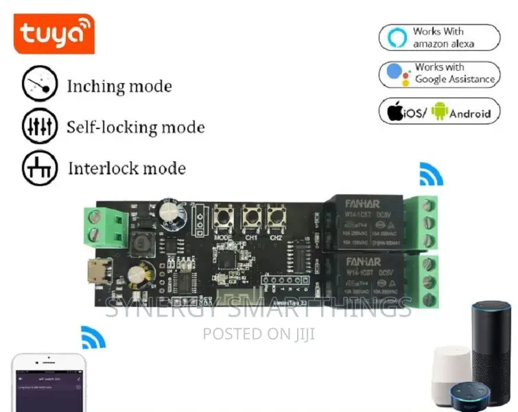 Smart Remote Control 2ch Relay Switch Module for Smart Gate in Garki 2 ...