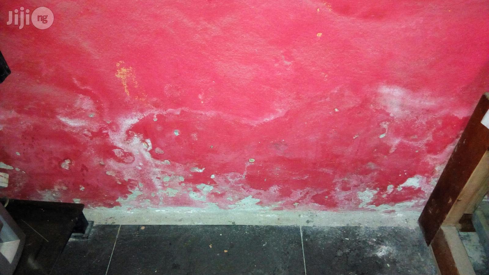 Best Damp Control, Ground Water And Basement Moulding in Ajah ...