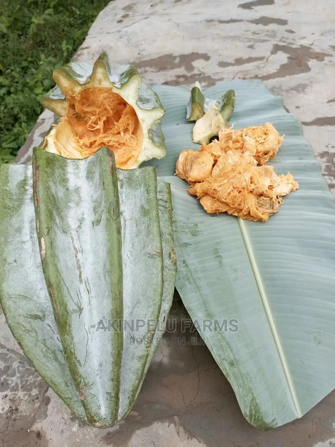 Organic Ugwu Seed/Seedlings. in Alimosho - Feeds, Supplements & Seeds ...