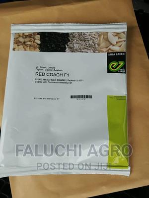 Red Coach F1 Hybrid Onion Seeds (25,000 Seeds) in Ikotun/Igando - Feeds ...