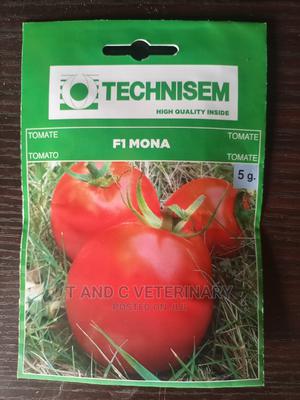 Technisem Tomato Seed 5g in Agege - Feeds, Supplements & Seeds, T And C ...