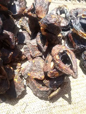 Fresh Fish in Nigeria for sale Prices on Jiji.ng