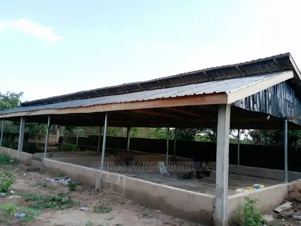 Poultry House Design In Nigeria