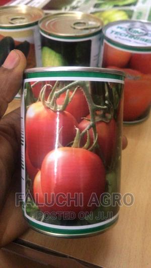Technisem Hybrid Tomato Seeds - Cobra 26 F1 - 50g in Ikotun/Igando ...