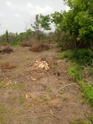 Land & Plots for Sale in Abeokuta South Prices in December 2024 on Jiji.ng
