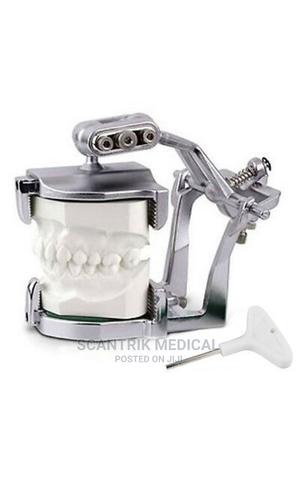 Magnetic Articulator Serrated C-Clamps for Teeth Model in Port-Harcourt ...