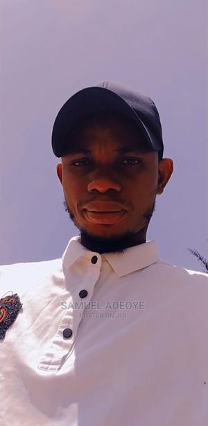 Management CV in Ibadan - Management CVs, Samuel Adeoye | Jiji.ng