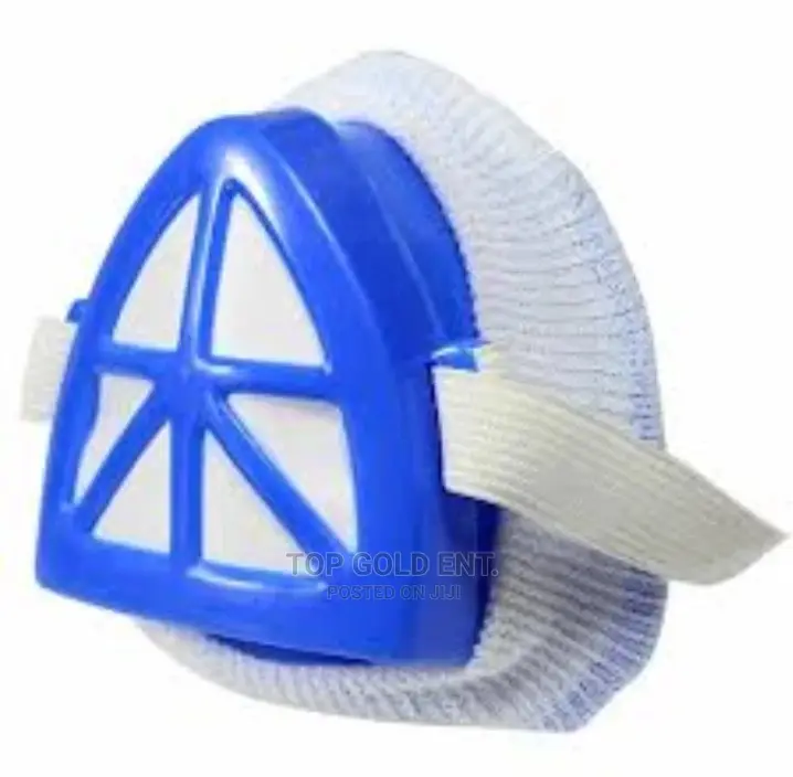 Dust/Filter Nose Mask (Carton X100) in Lagos Island (Eko) - Safety ...