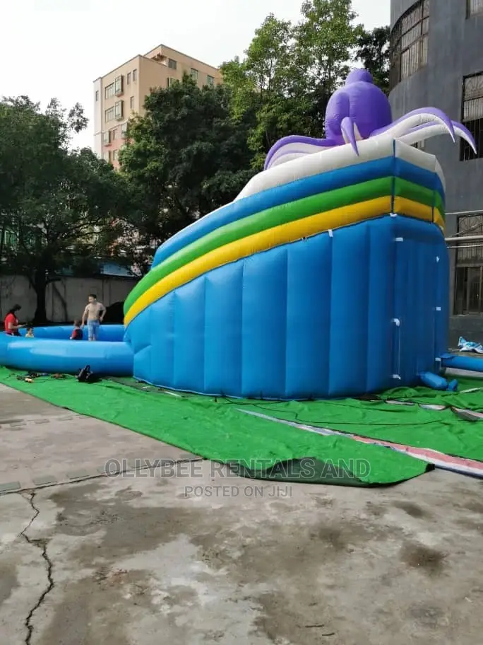 Octopus Themed Combo Slides With Swimming Pools in Ikeja - Playground ...