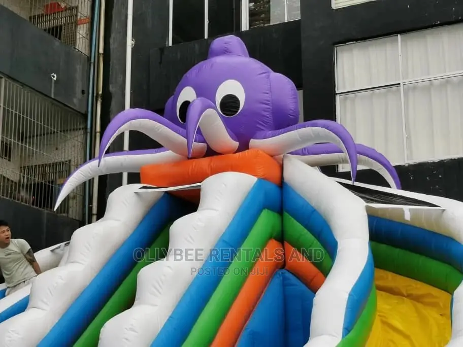 Octopus Themed Combo Slides With Swimming Pools in Ikeja - Playground ...
