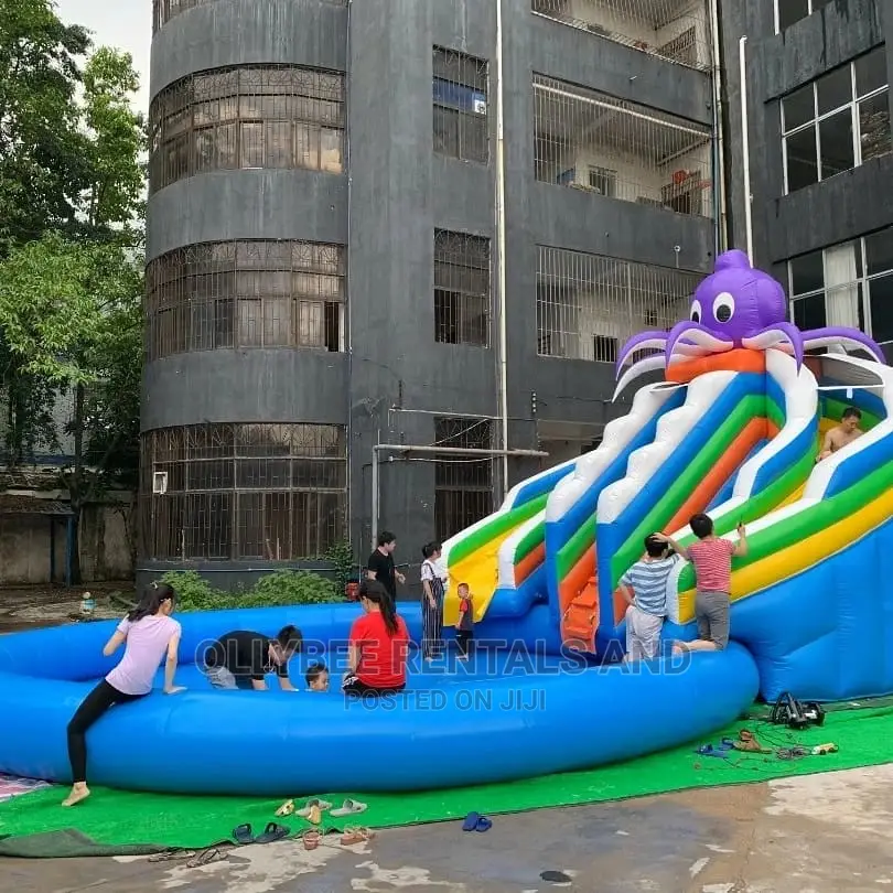 Octopus Themed Combo Slides With Swimming Pools in Ikeja - Playground ...